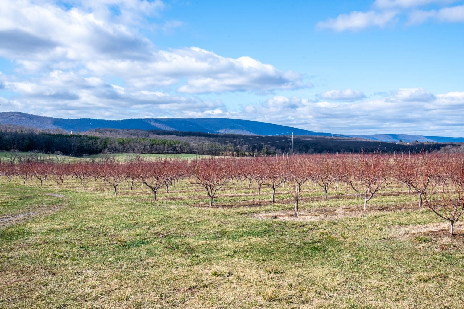 Shawnee Canning Company